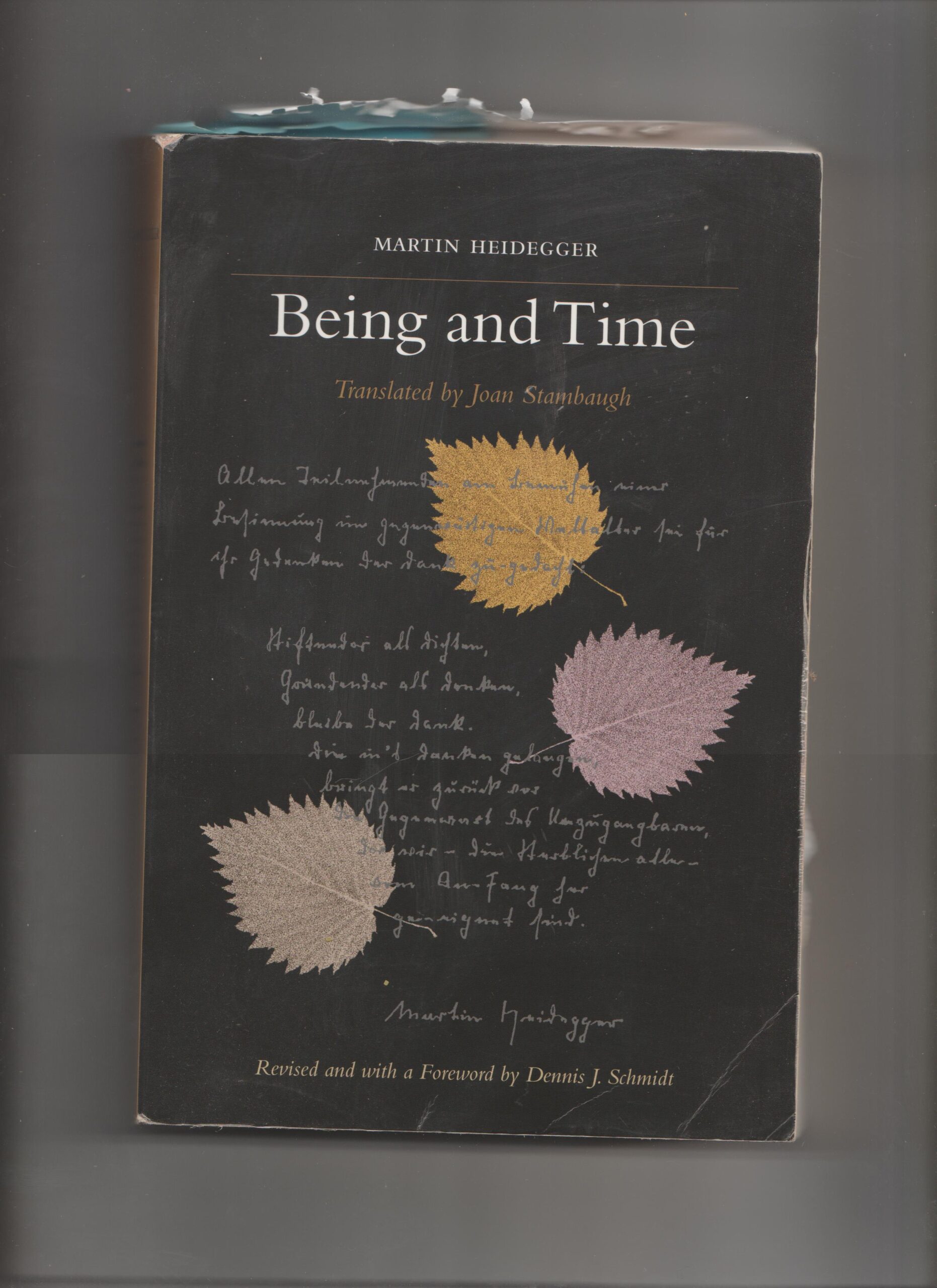 The sprouting of a dormant seed | John Canning